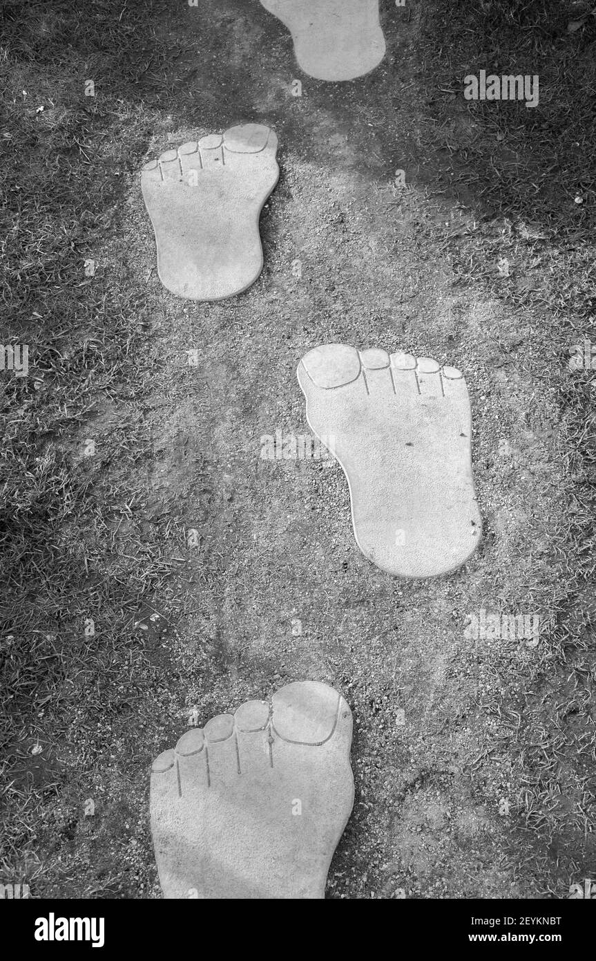 Yeti footprint Black and White Stock Photos & Images - Alamy