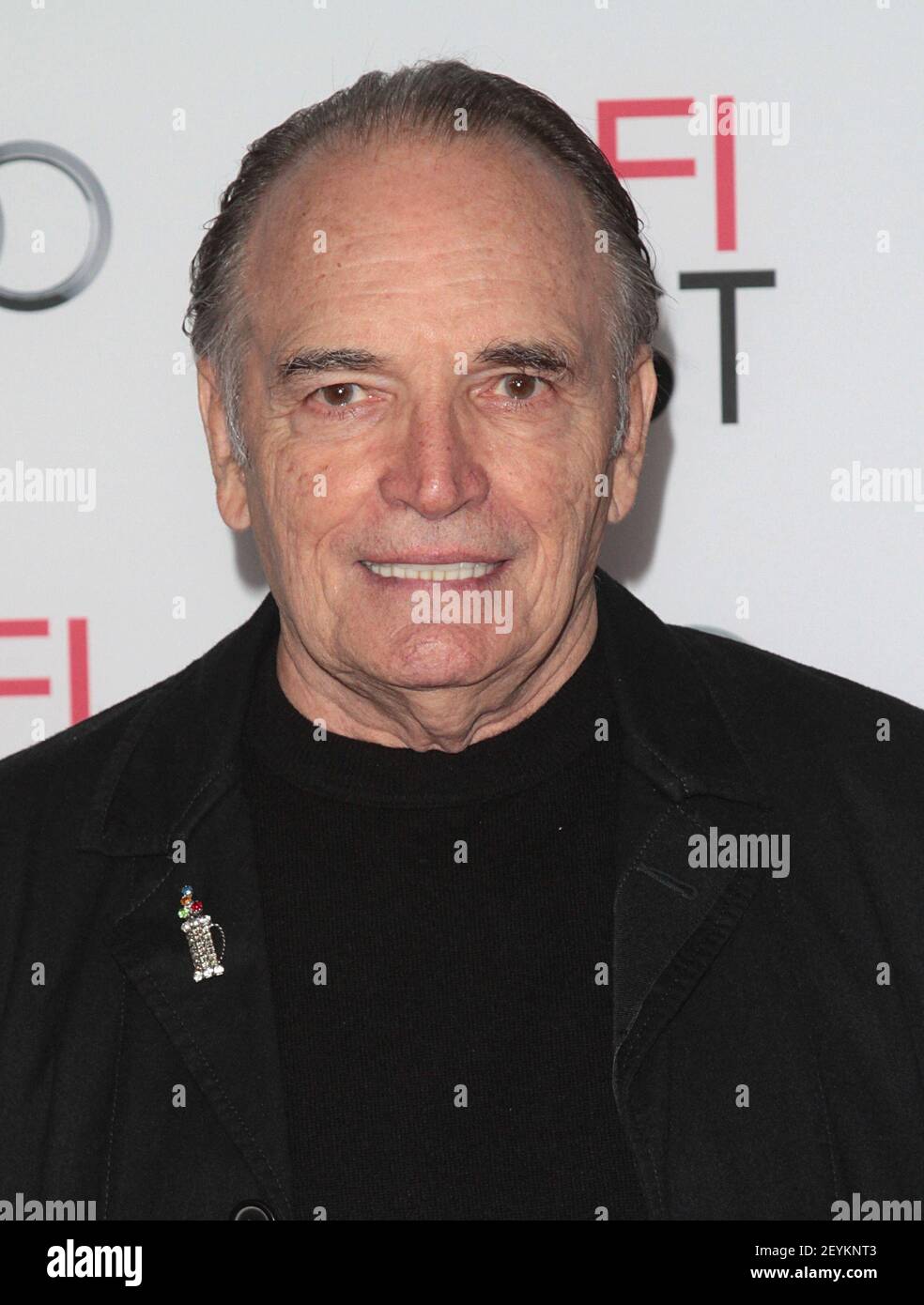 Tom Bower attends The "Out of the Furnace" Gala Screening at the TCL ...
