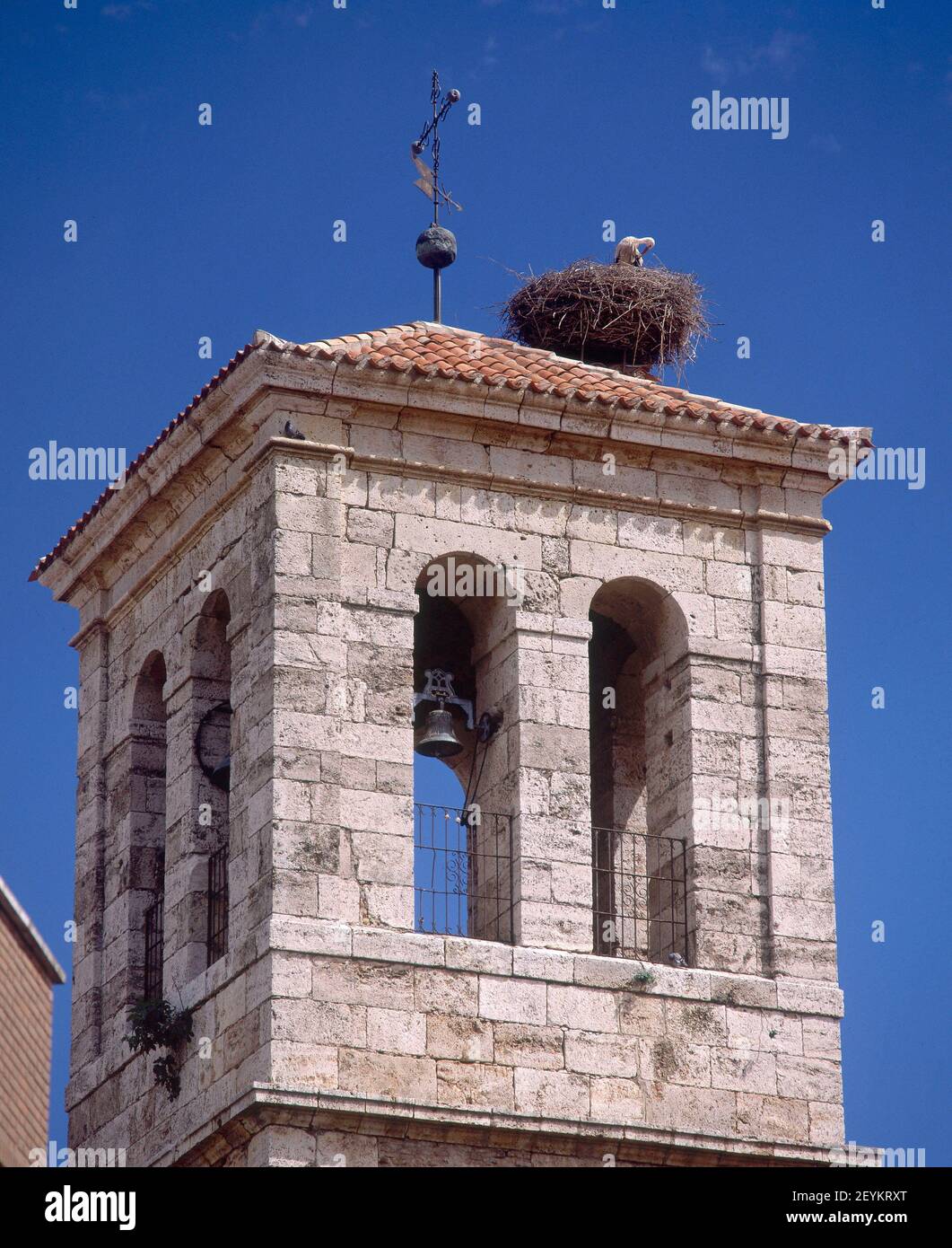 TORRE CAMPANARIO CON NIDO DE CIGÜEÑAS -. Location: ST. PETER'S CHURCH ...