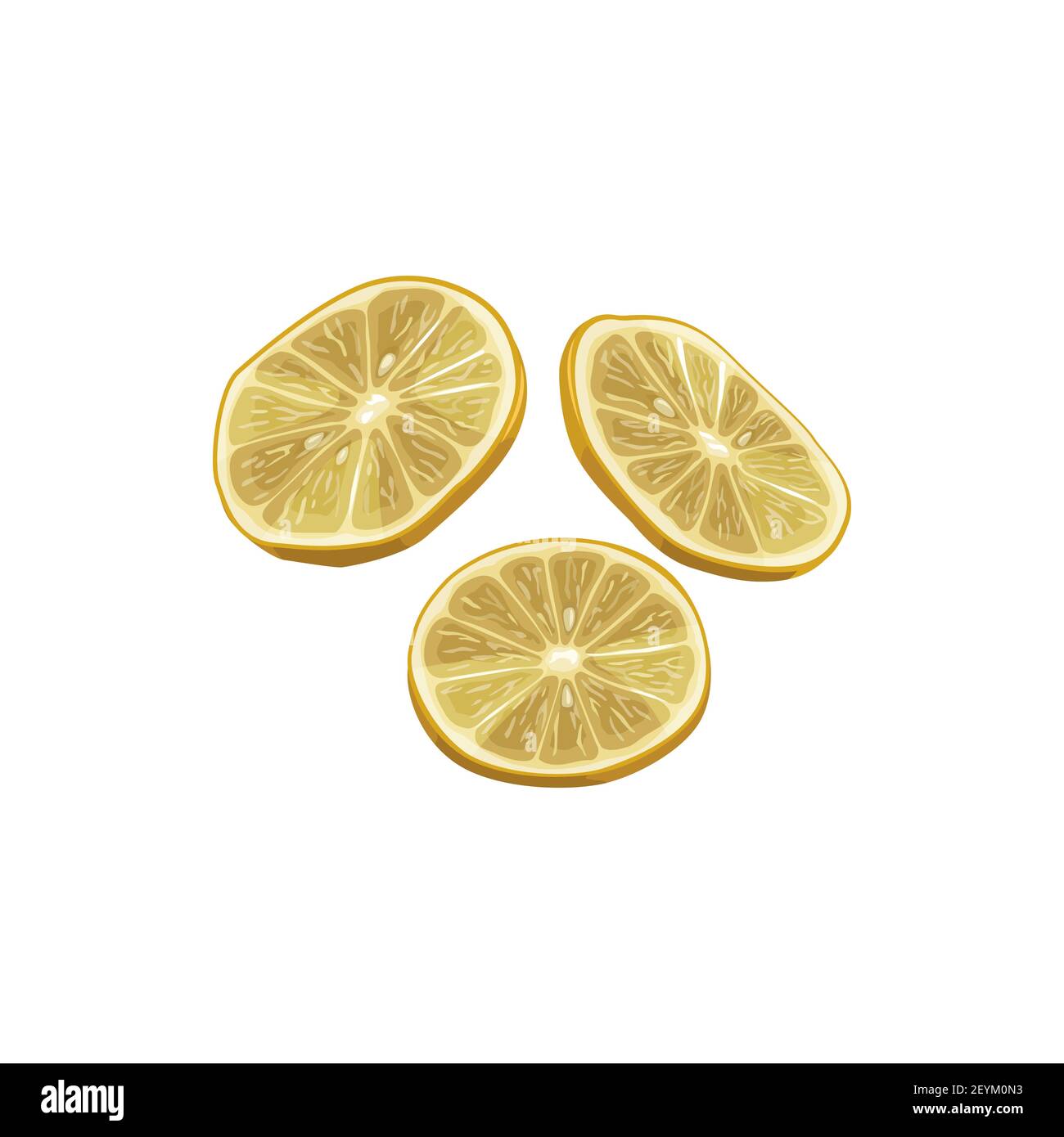 Dried citrus fruits Stock Vector Images - Alamy