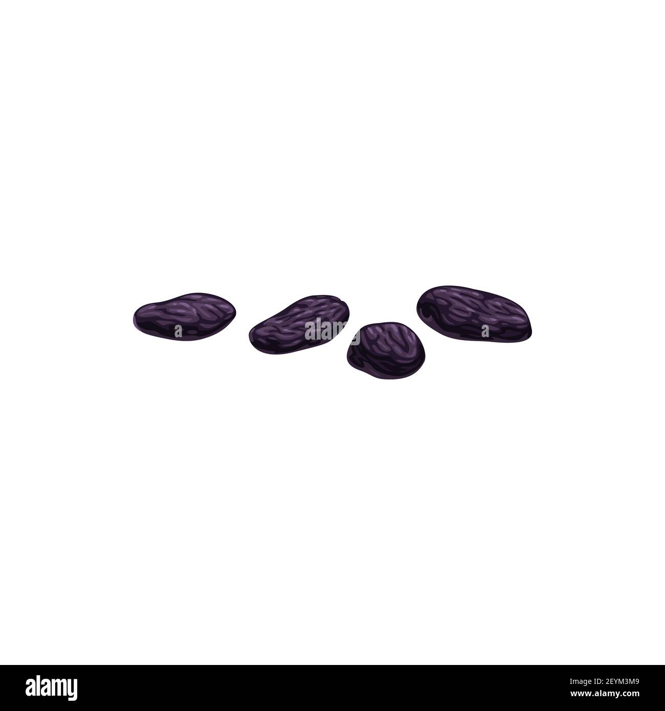 Raisin black Stock Vector Images - Alamy