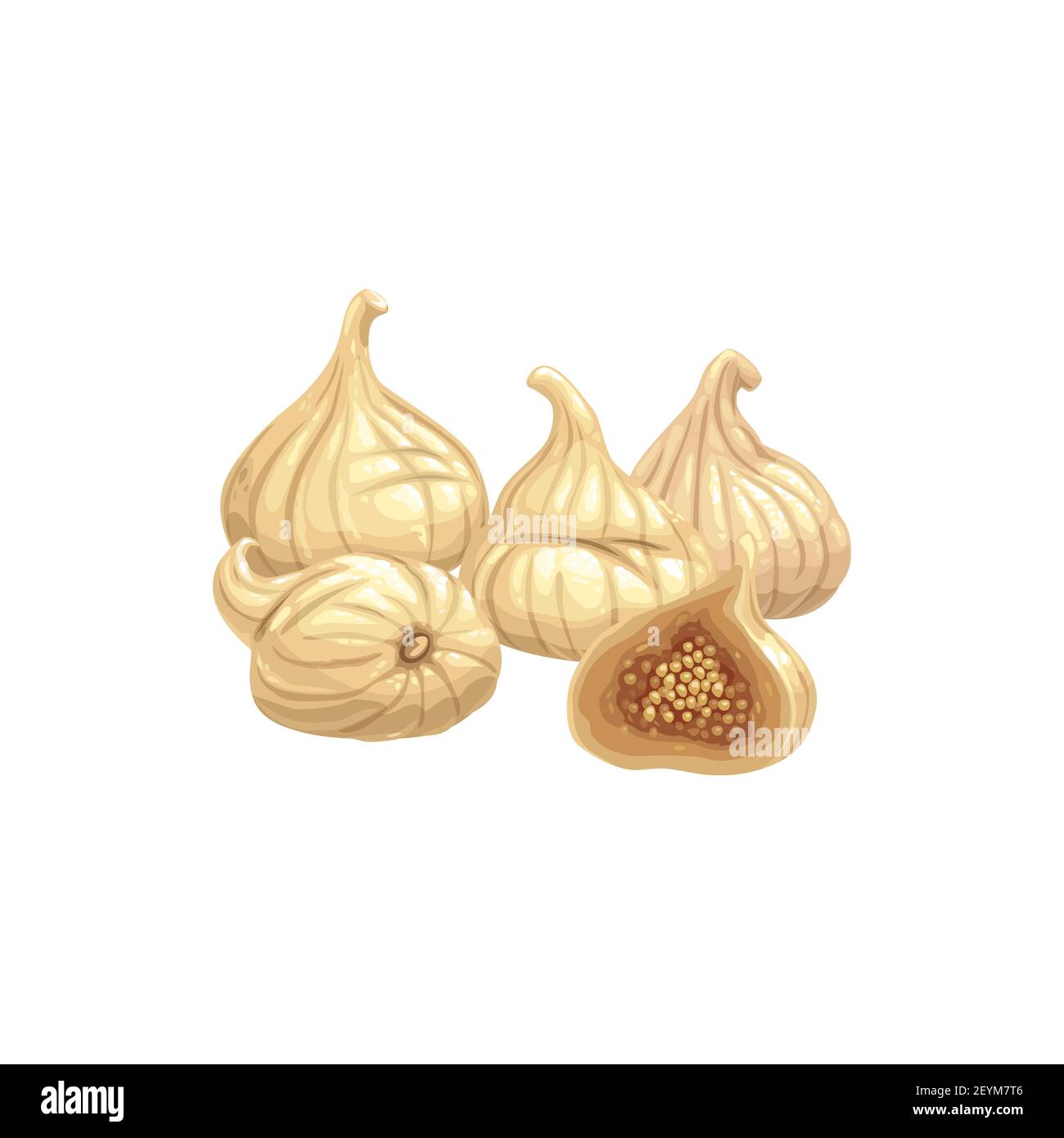 Dried fig figs fruit fruits healthy snack snacks food Stock Vector ...