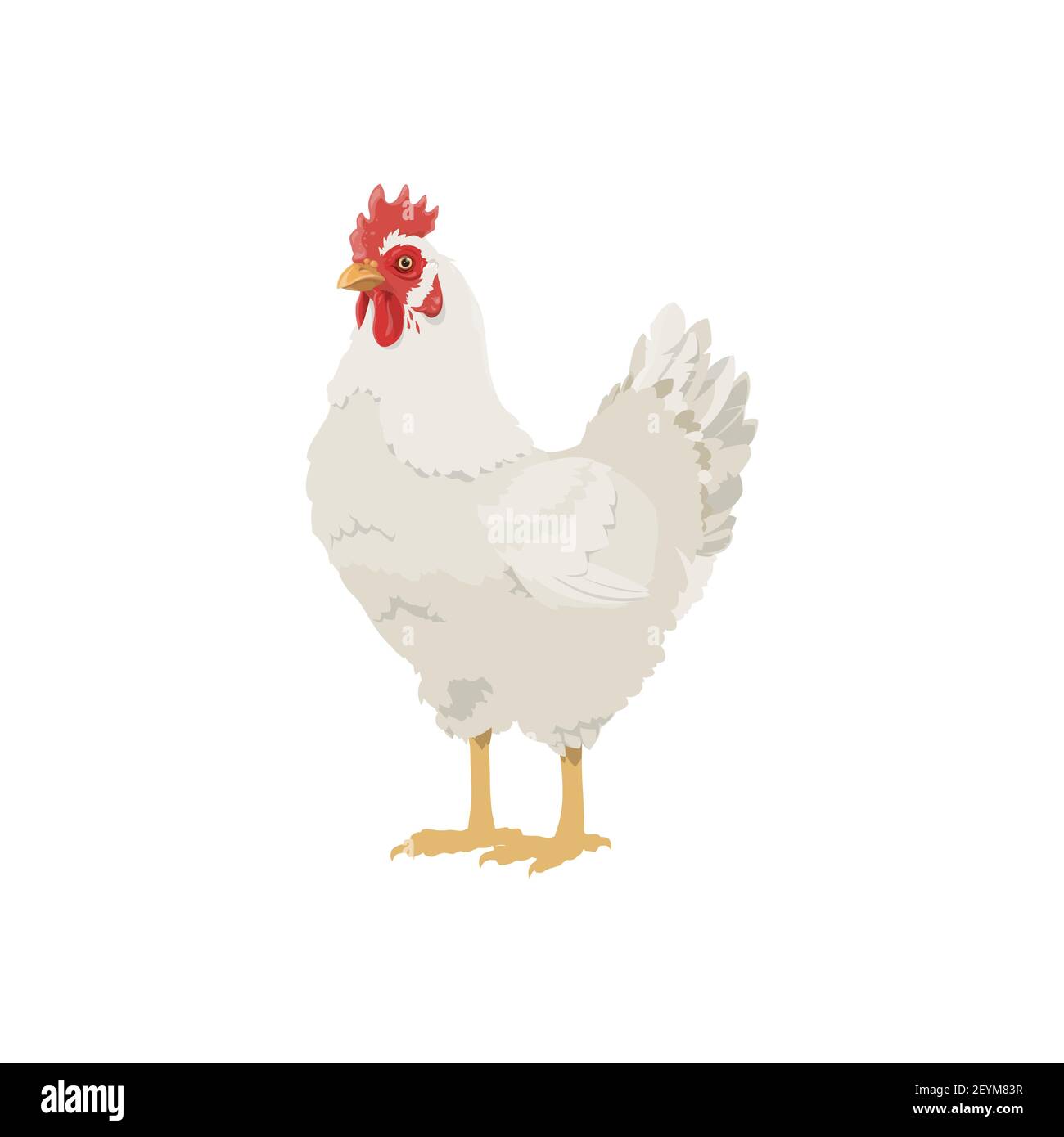 Agriculture hen Stock Vector Images - Alamy