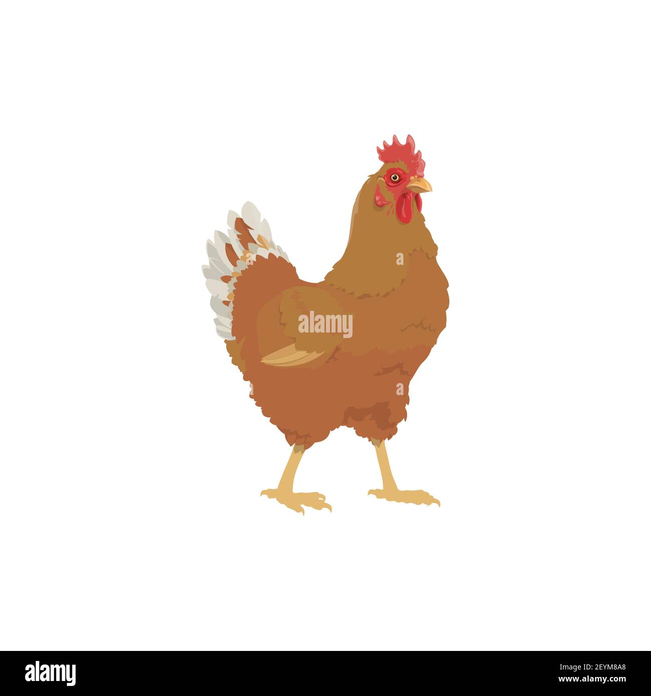 Chicken hen, farm bird icon, agriculture poultry and egg food fowl ...