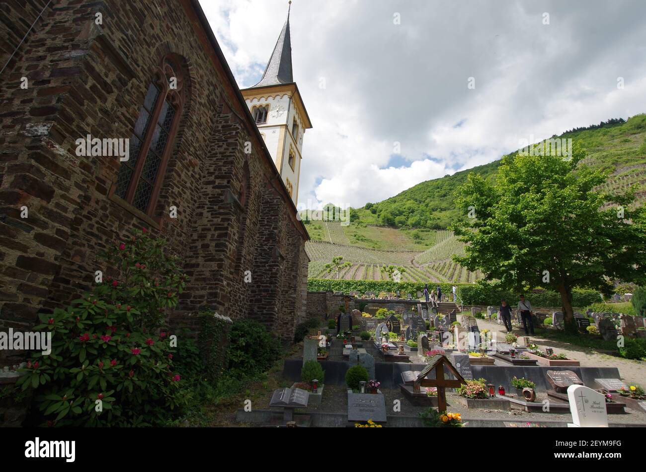 Bremm, Calmont region, Germany Stock Photo - Alamy