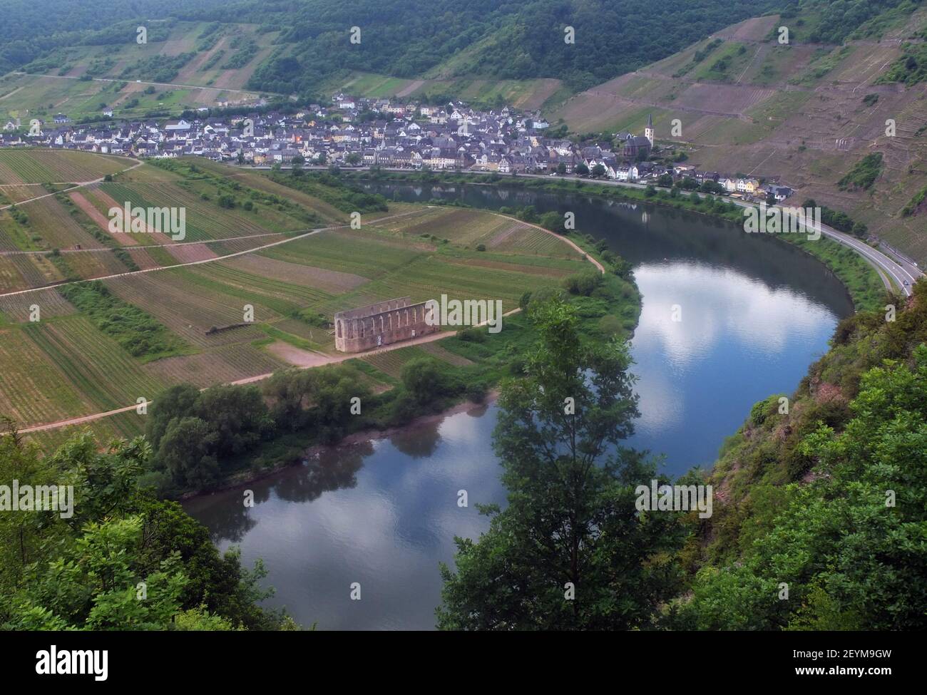 Bremm, Calmont region, Germany Stock Photo - Alamy