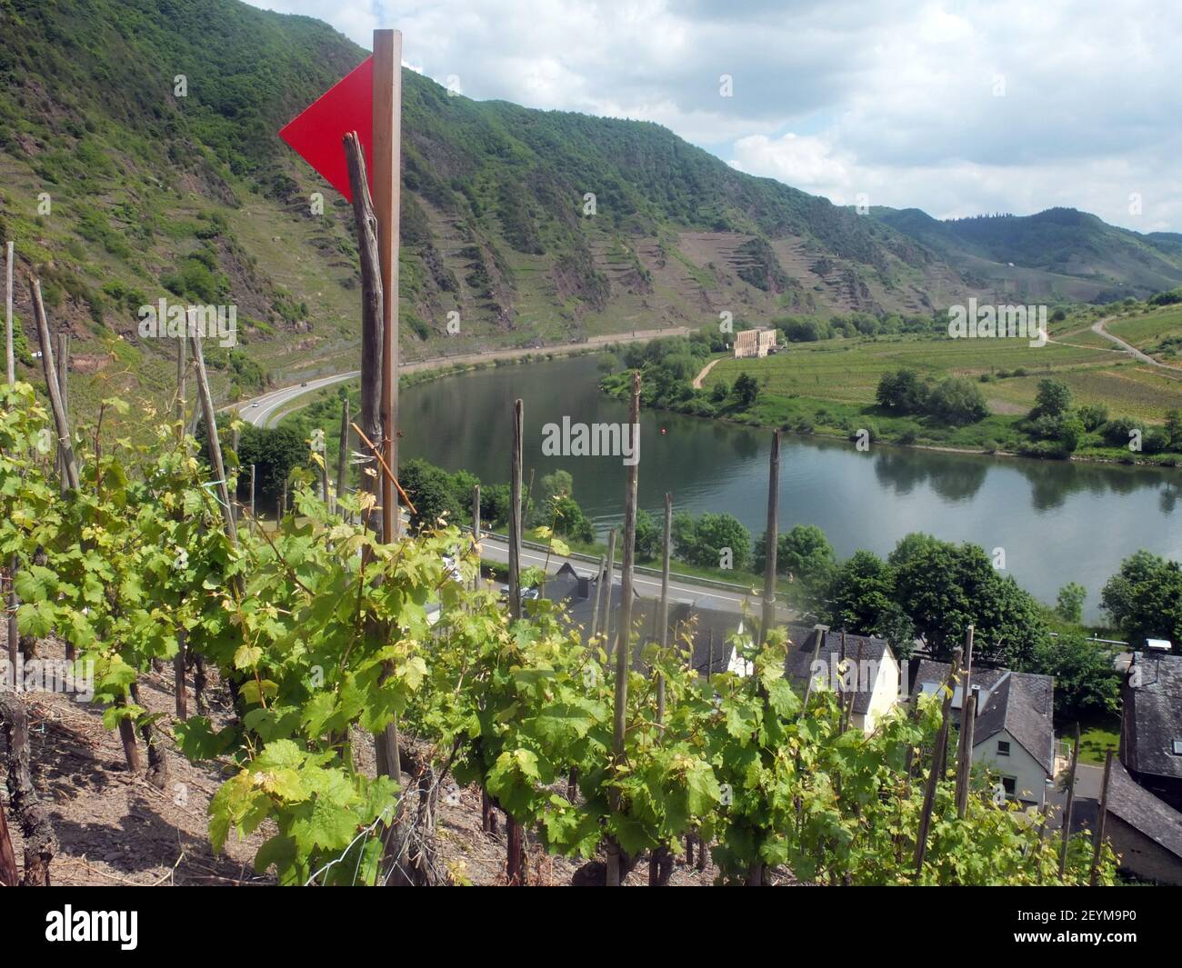 Bremm, Calmont region, Germany Stock Photo - Alamy
