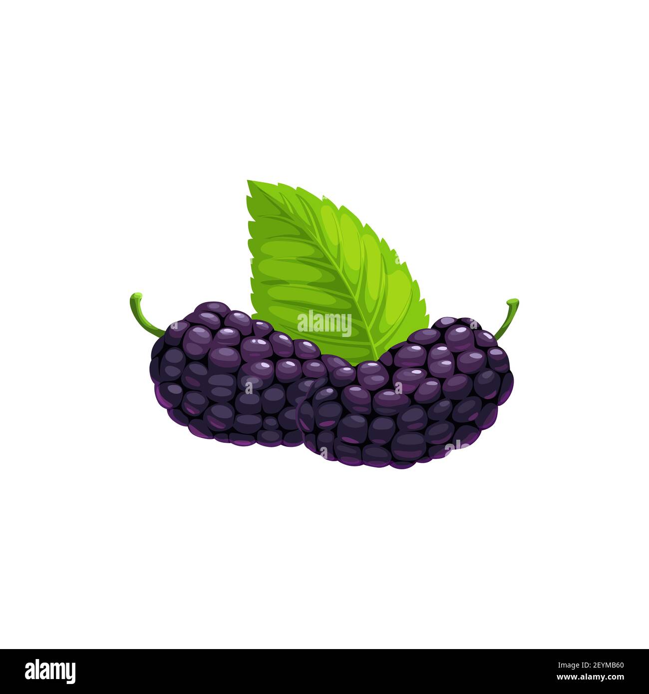 Mulberry jam Stock Vector Images - Alamy
