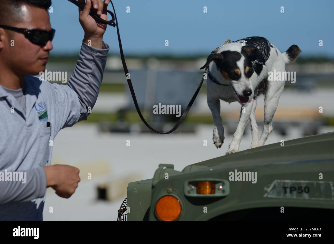 John Lizama, a dog handler with the U.S. Department of Agriculture ...