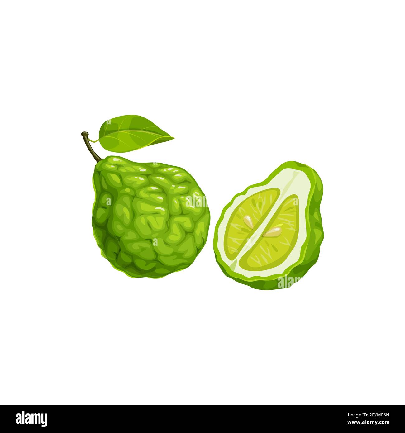 Bergamot orange fruit, tropical exotic food, vector isolated icon ...