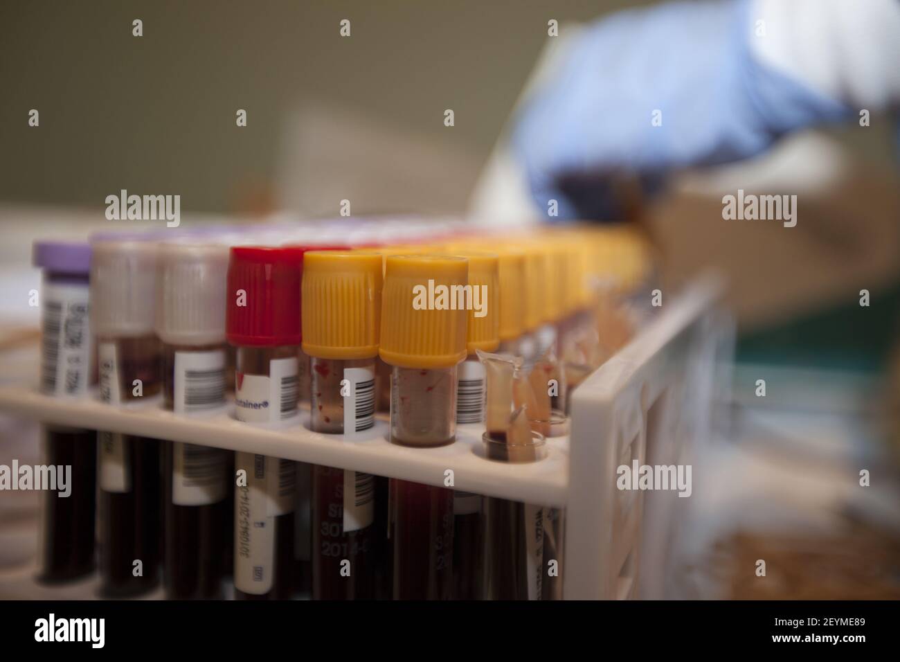 U.S. Army Spc. Erica Corley, with the Armed Services Blood Bank Center ...