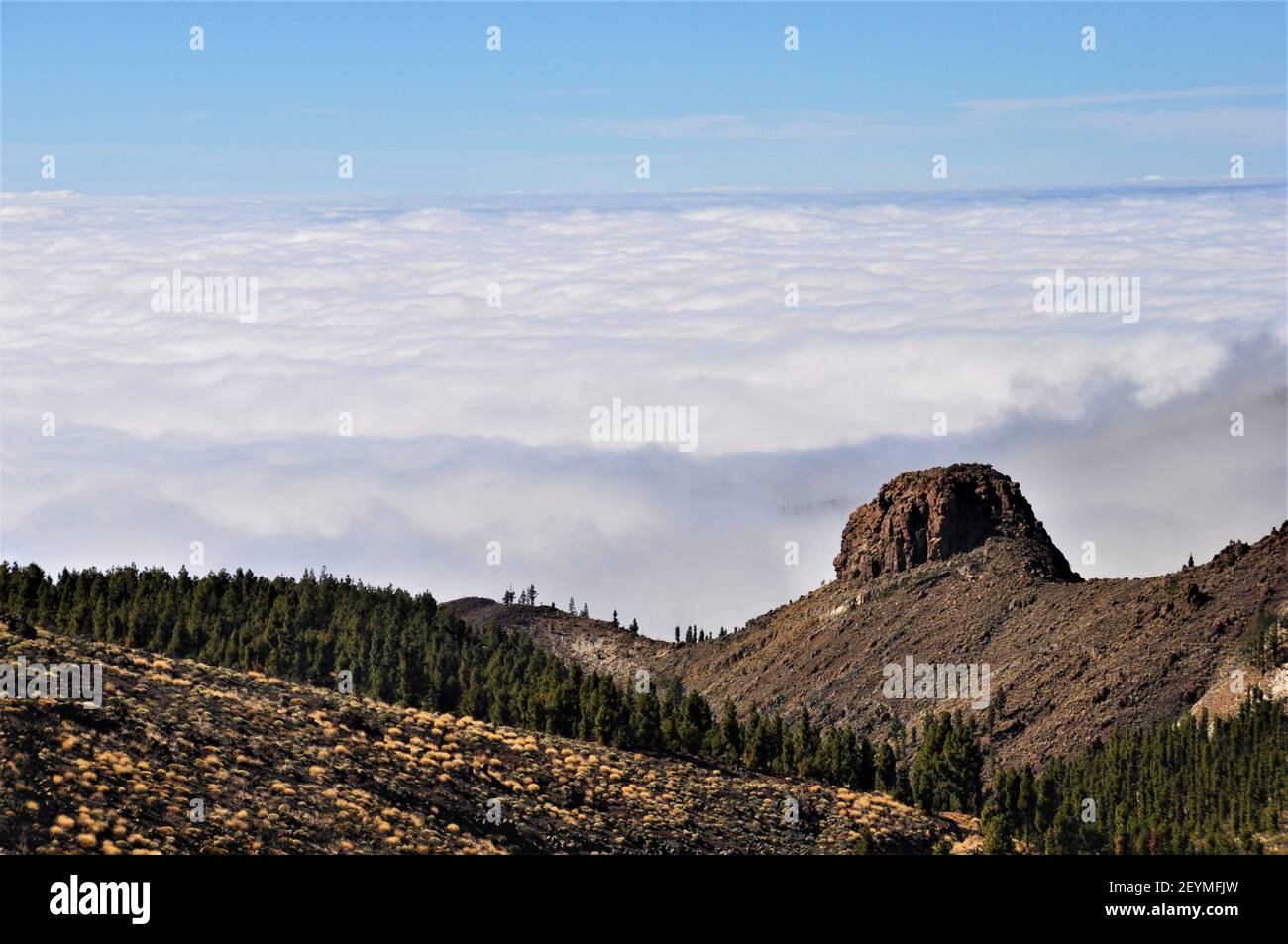 Terniffa hi-res stock photography and images - Alamy