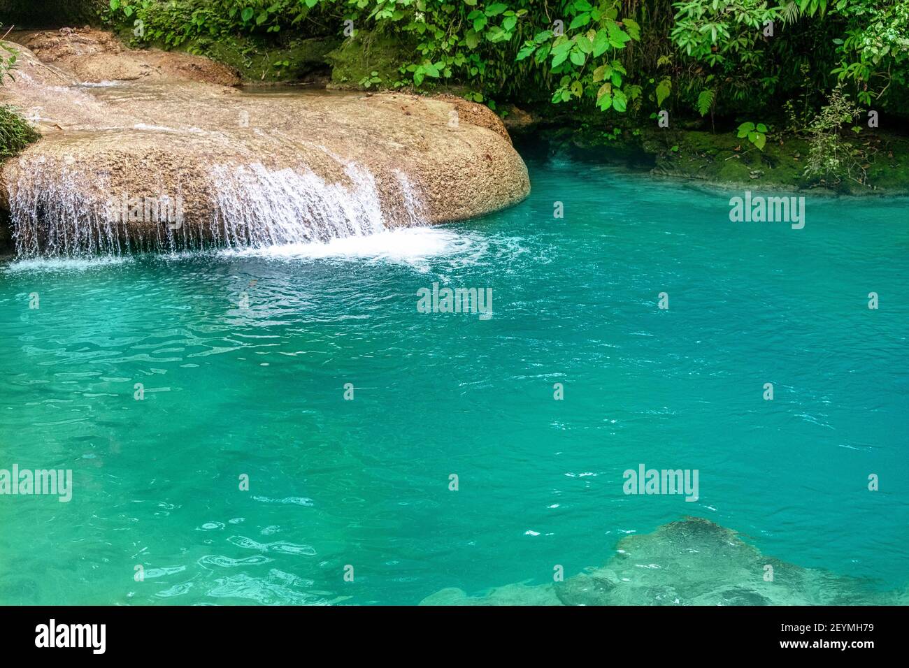el nicho, cienfuegos province, cuba Stock Photo - Alamy el nicho, cienfuegos province, cuba Stock Photo - Alamy