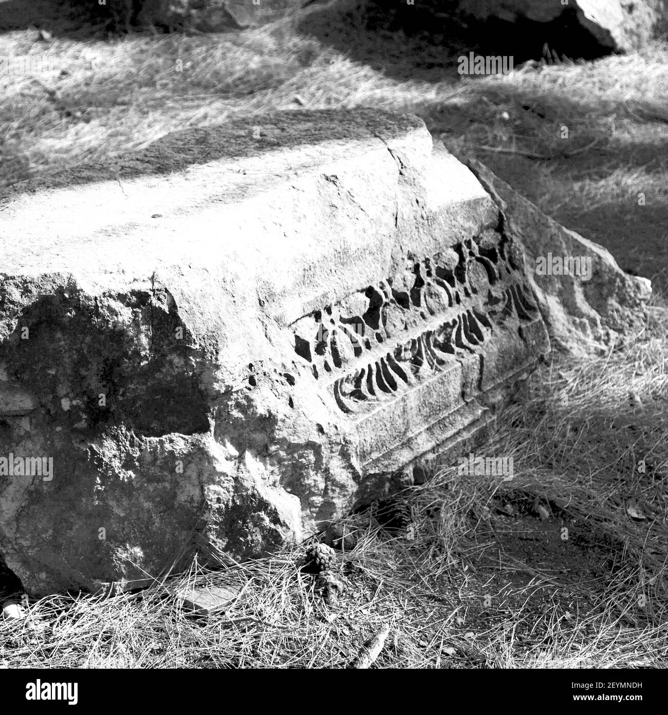 Old ruined column and destroyed stone in phaselis temple turkey asia ...