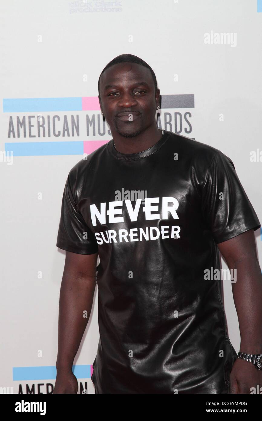 Akon arrives at the 2013 American Music Awards held at the Nokia ...