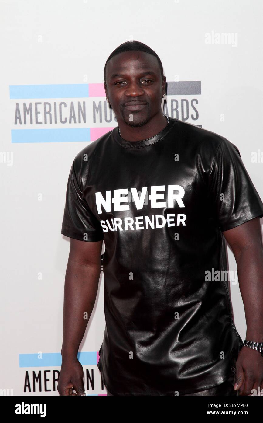 Akon arrives at the 2013 American Music Awards held at the Nokia ...