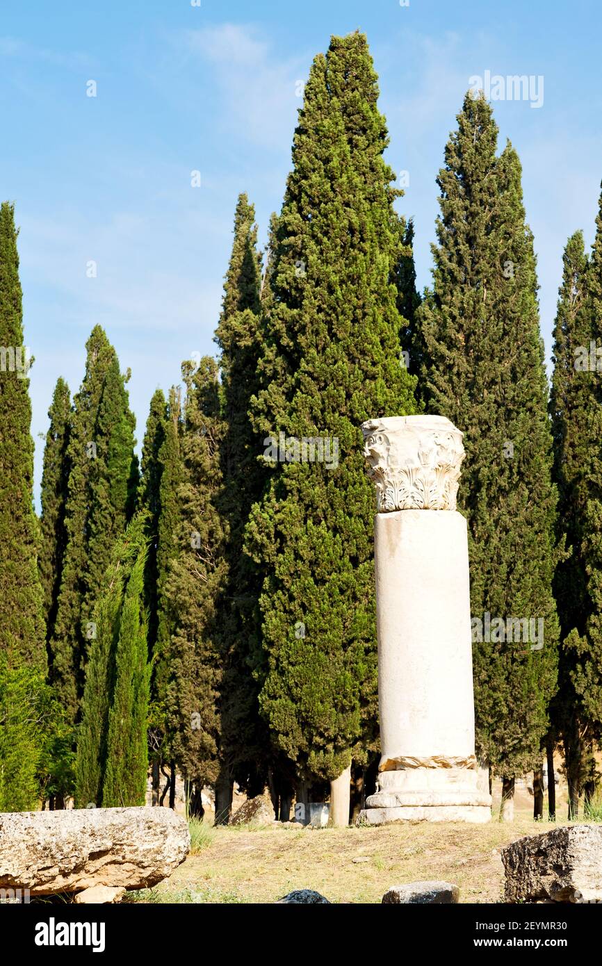 Old construction column and the Stock Photo - Alamy