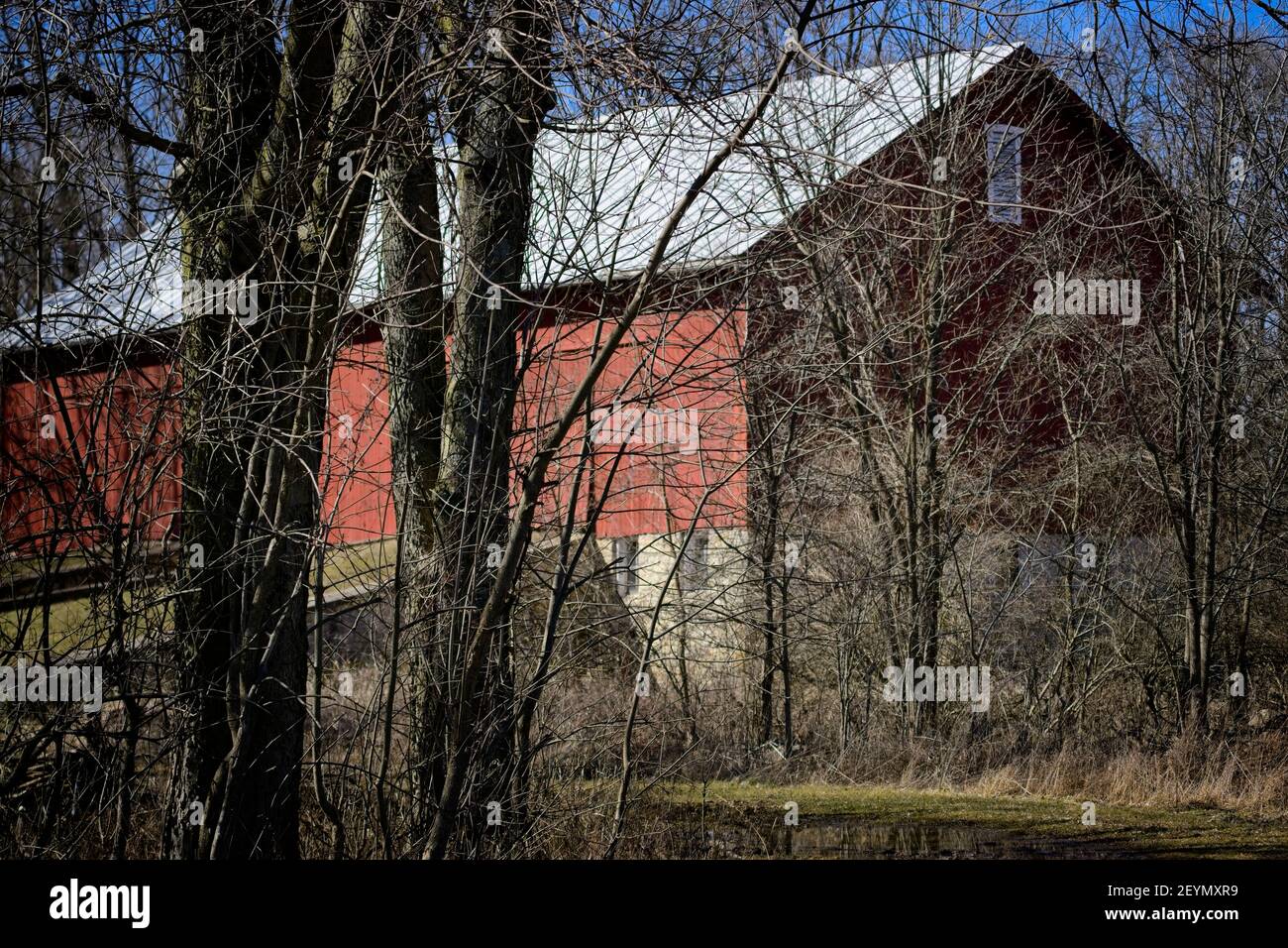 Old red barn in the woods Stock Photo - Alamy