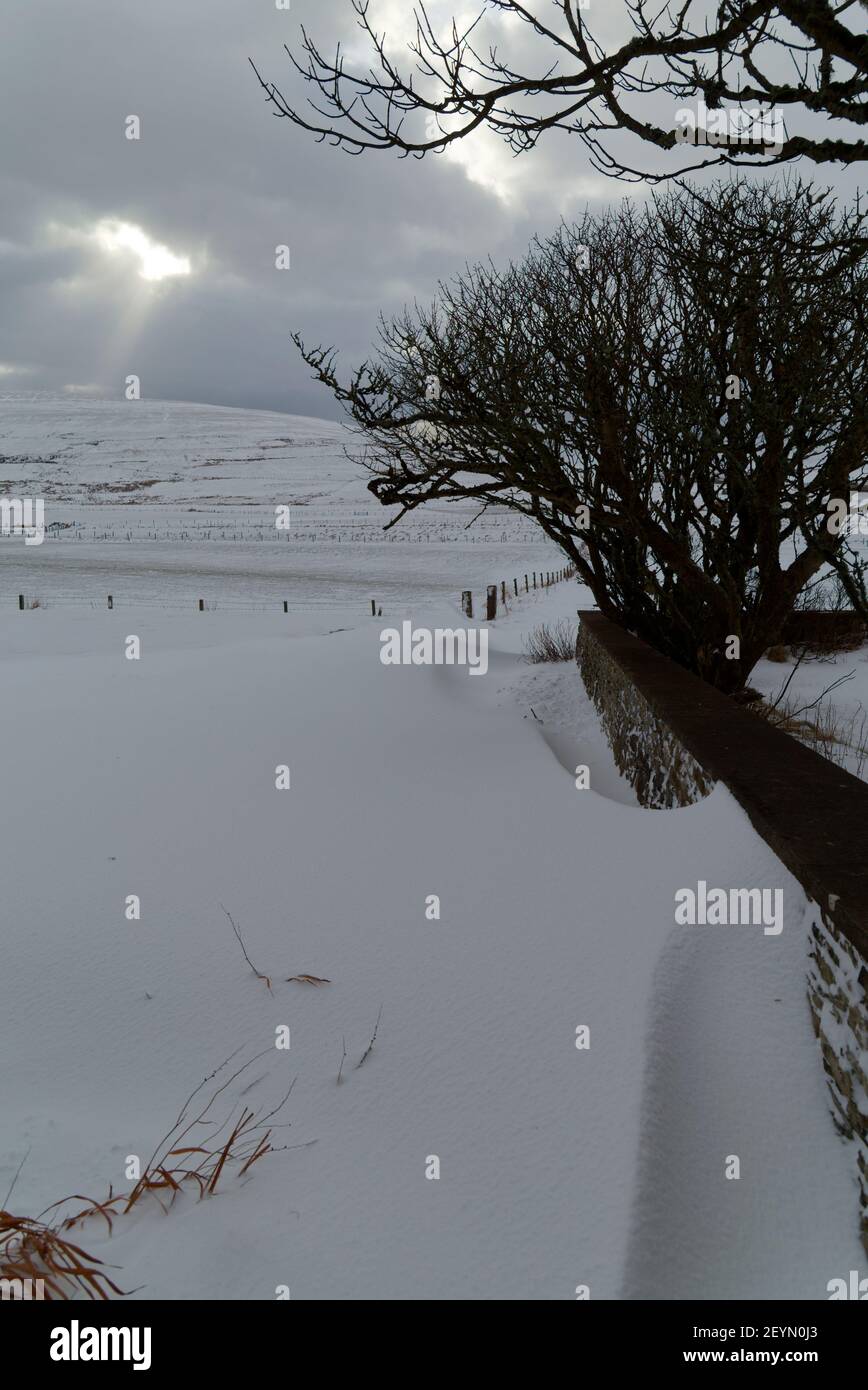 Driveway blocked hi-res stock photography and images - Alamy