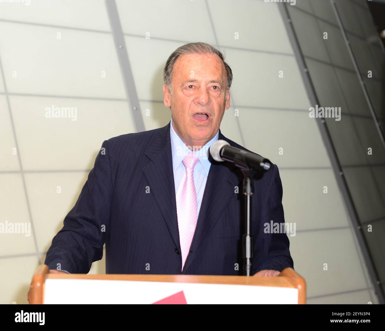 Chairman of Miami Children Museum Jeff Berkowitz introducing ...