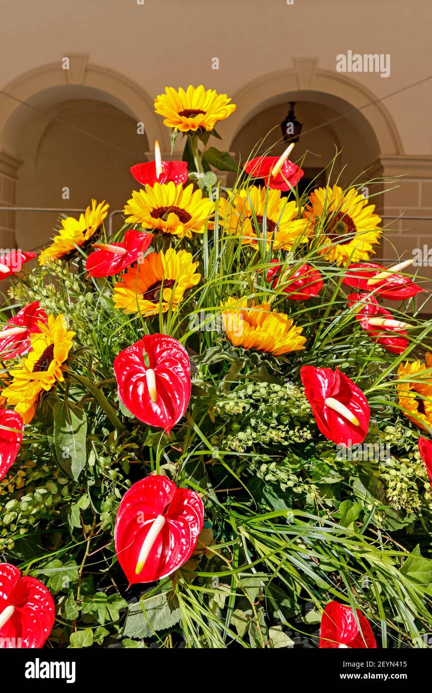 Red Anthurium Centerpiece