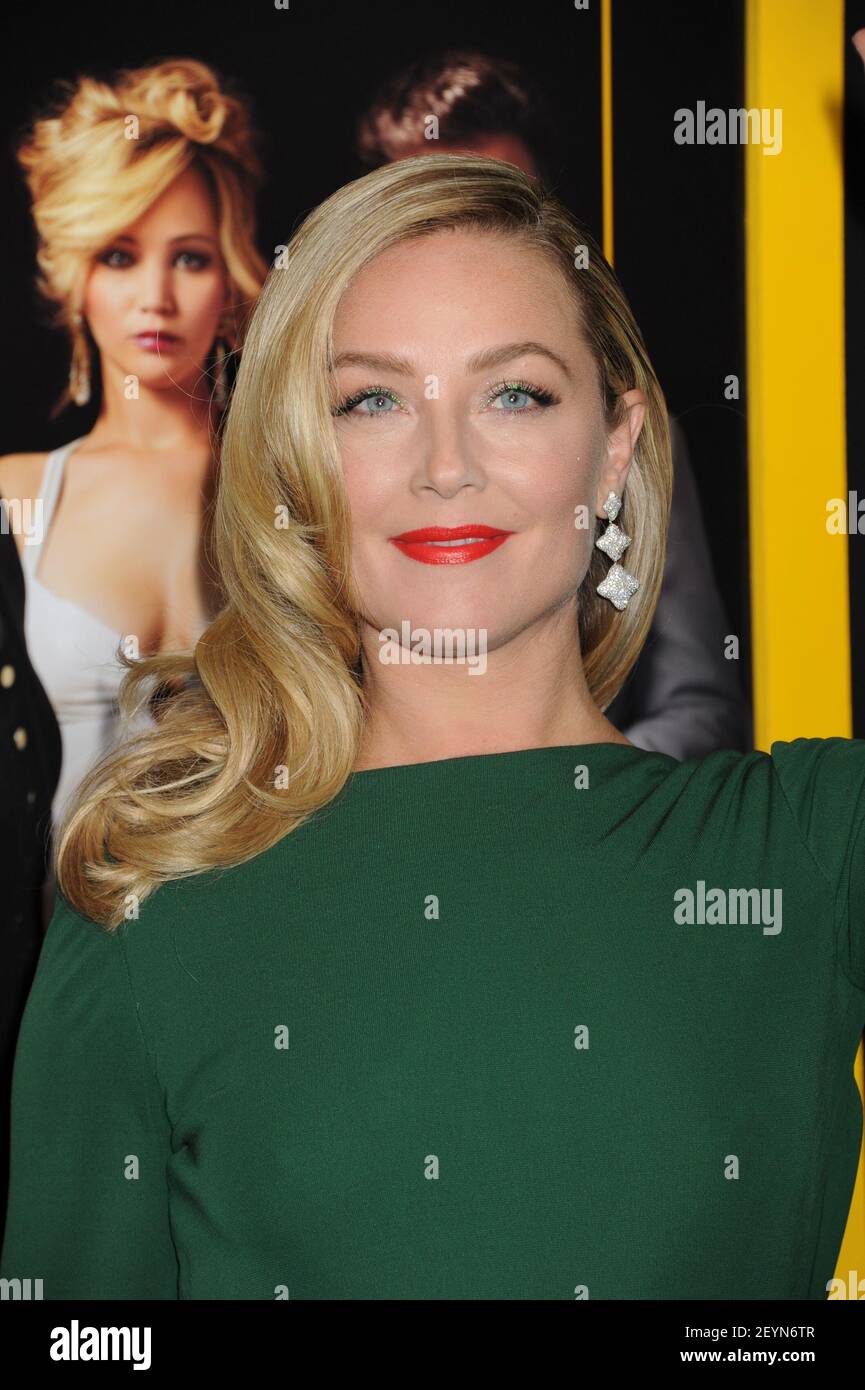 Elisabeth Rohm wearing Randi Rahm attends the American Hustle New York ...
