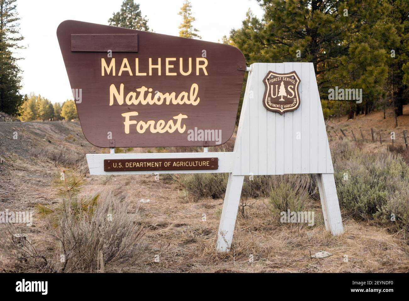 National forest service byway hi-res stock photography and images - Alamy