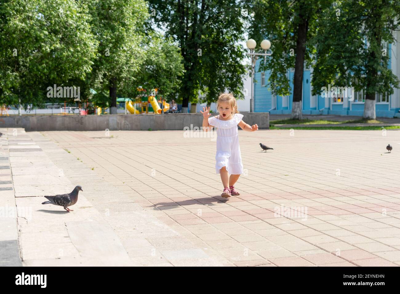 Little girl chasing pigeons in summer park and happy Stock Photo - Alamy