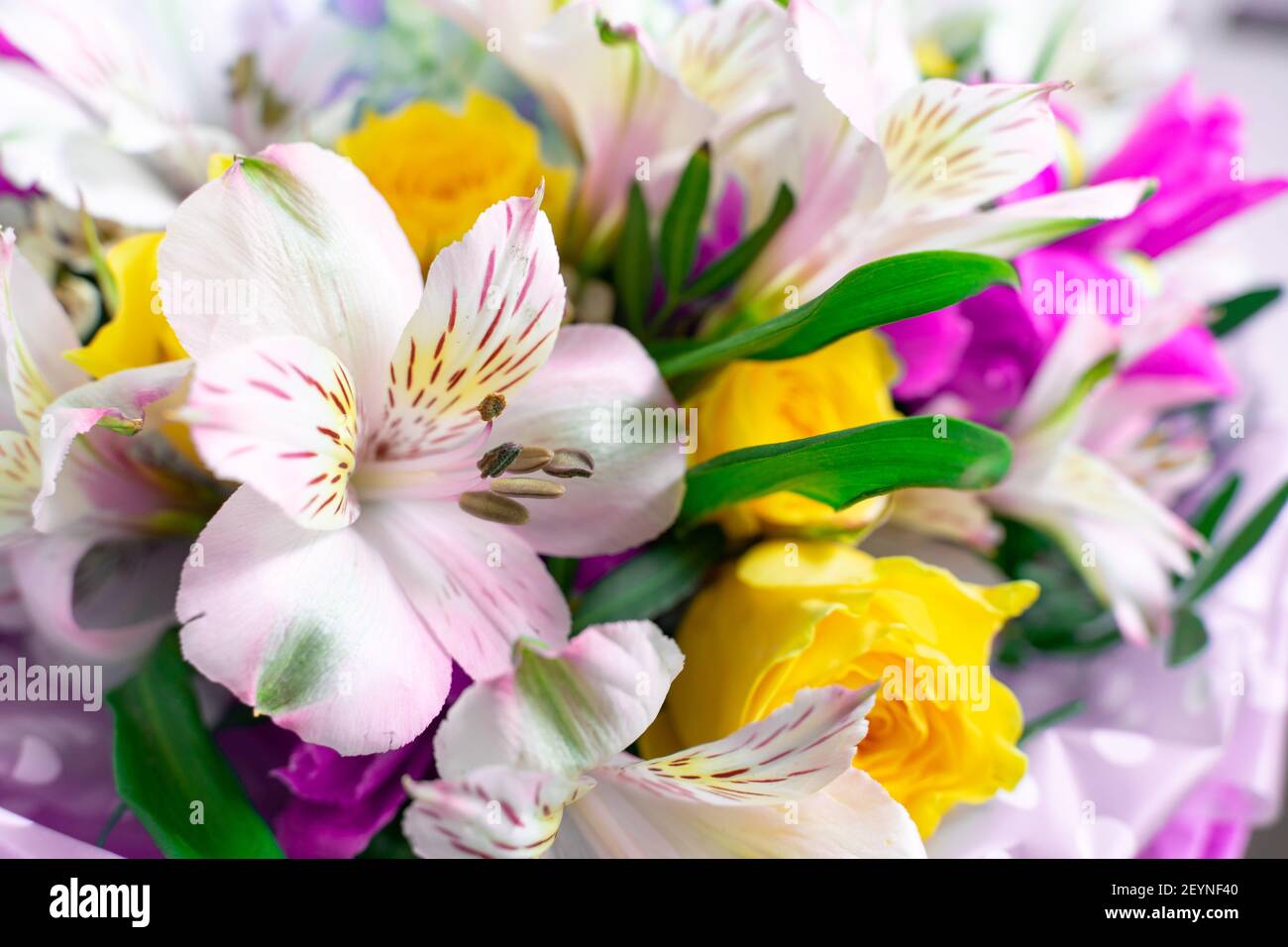Mixed colorful flowers background. Vibrant colors of mixed flowers ...