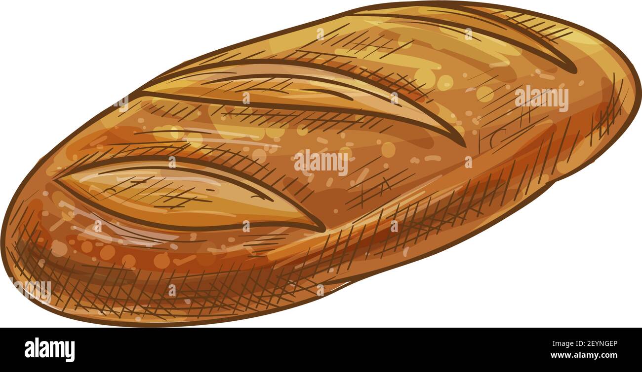 Long loaf bread isolated sketch. Vector long loaf, baked pastry ...