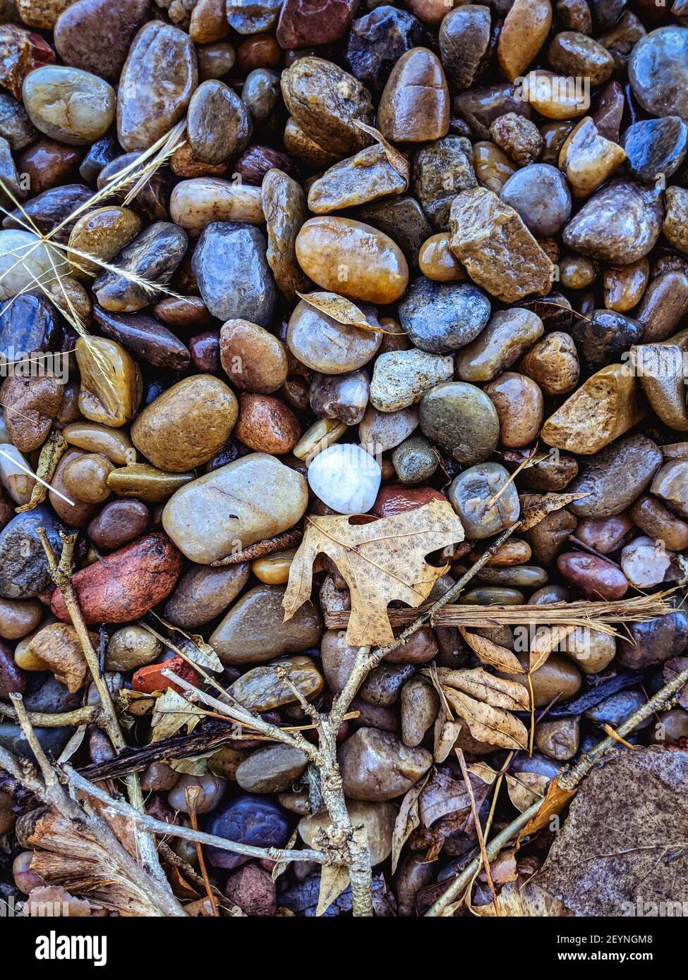 A vertical shot of small pebbles with dry leaves and twigs on the ...