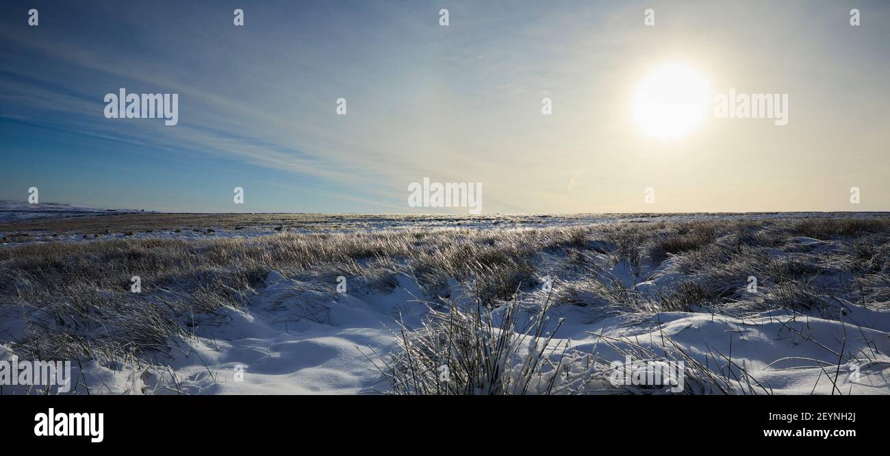 After a heavy snowfall, a bright sun highlghts the ice as it forms on ...