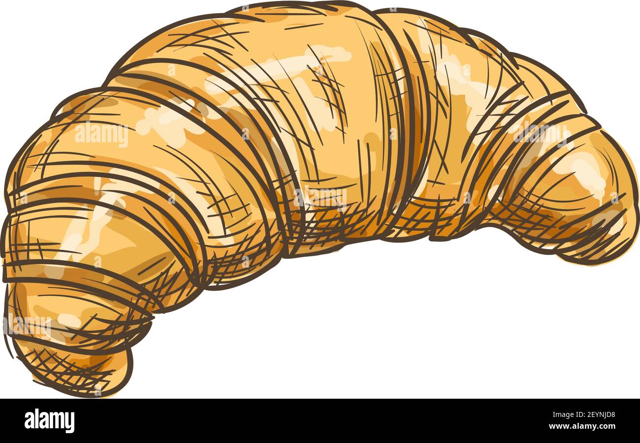 French Croissant Drawing