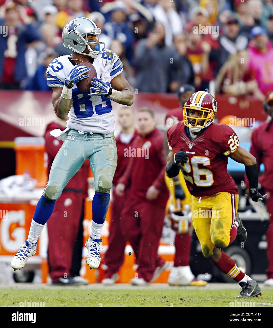 Terrance Williams Cowboys