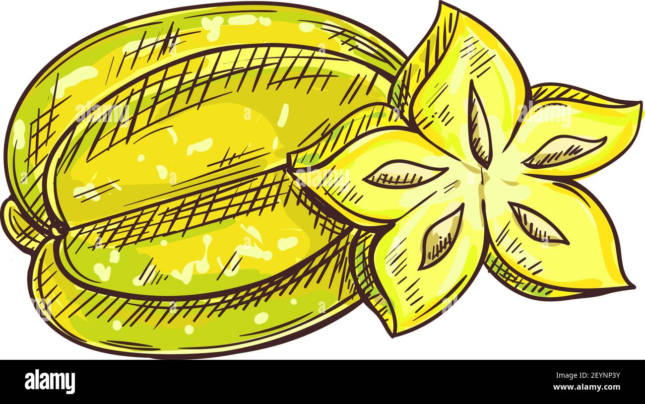 Starfruit vector vectors hi-res stock photography and images - Alamy