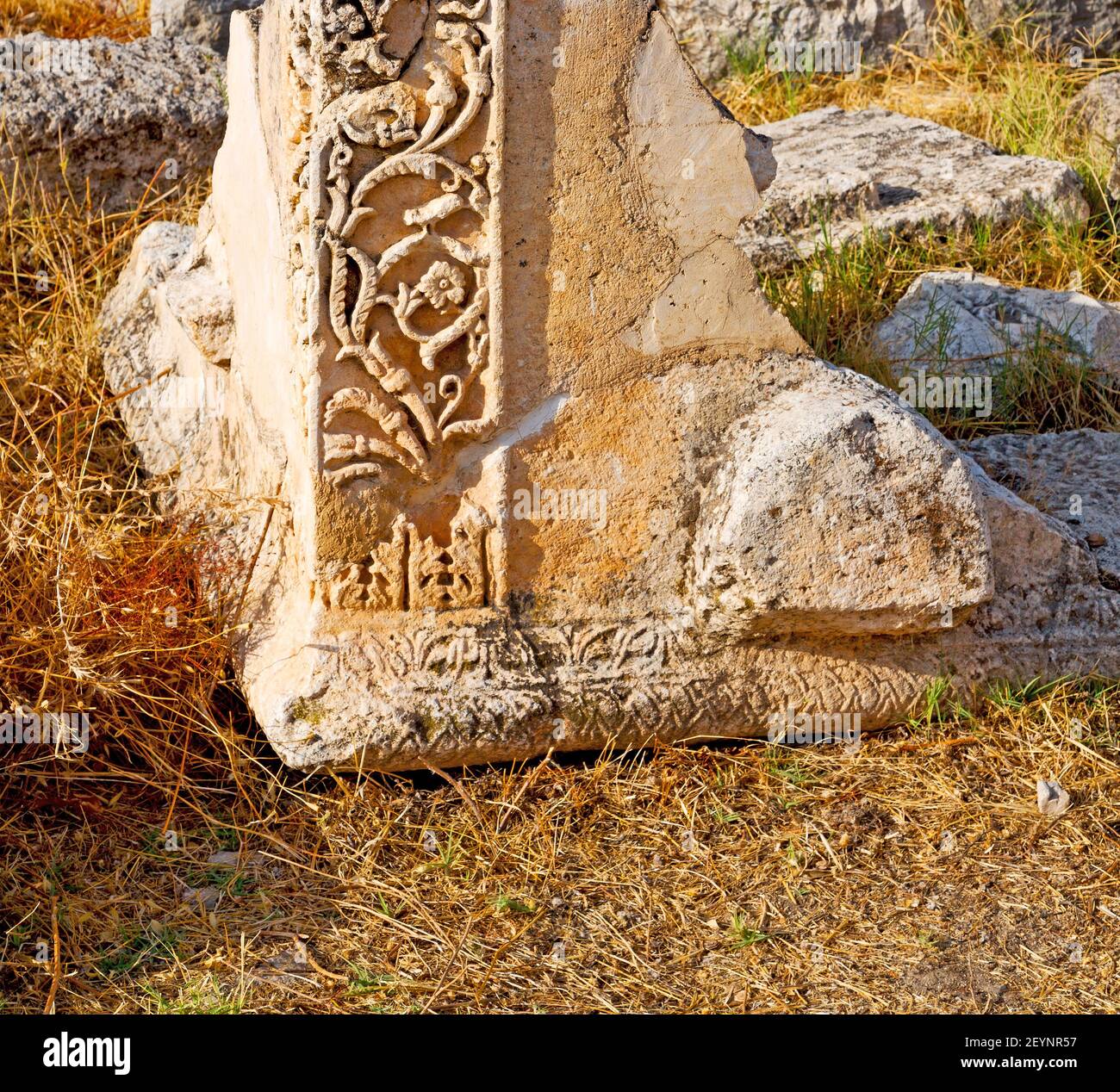 Bush gate in myra the old column stone construction asia greece and ...