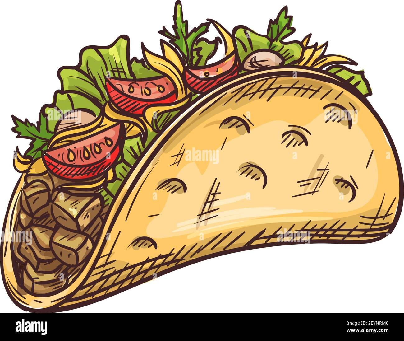 Mexican Taco Drawing