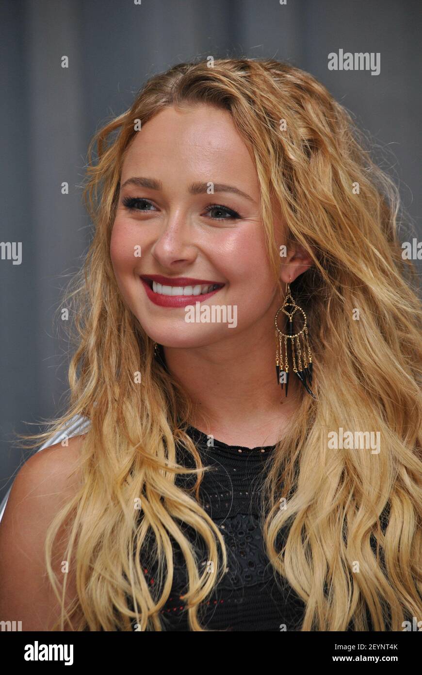 Hayden Panettiere Curly Hair