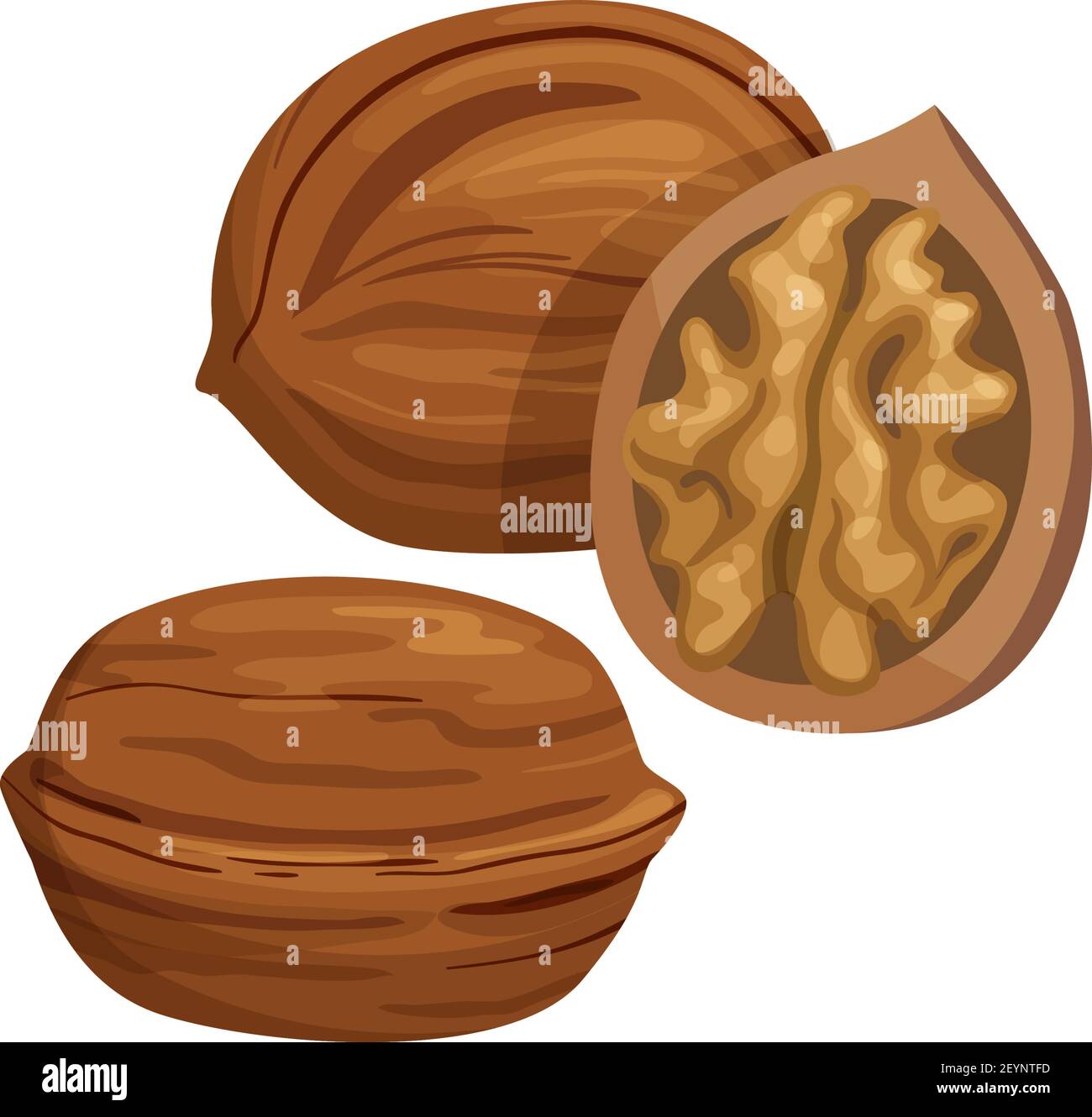 Peel nut Stock Vector Images - Alamy