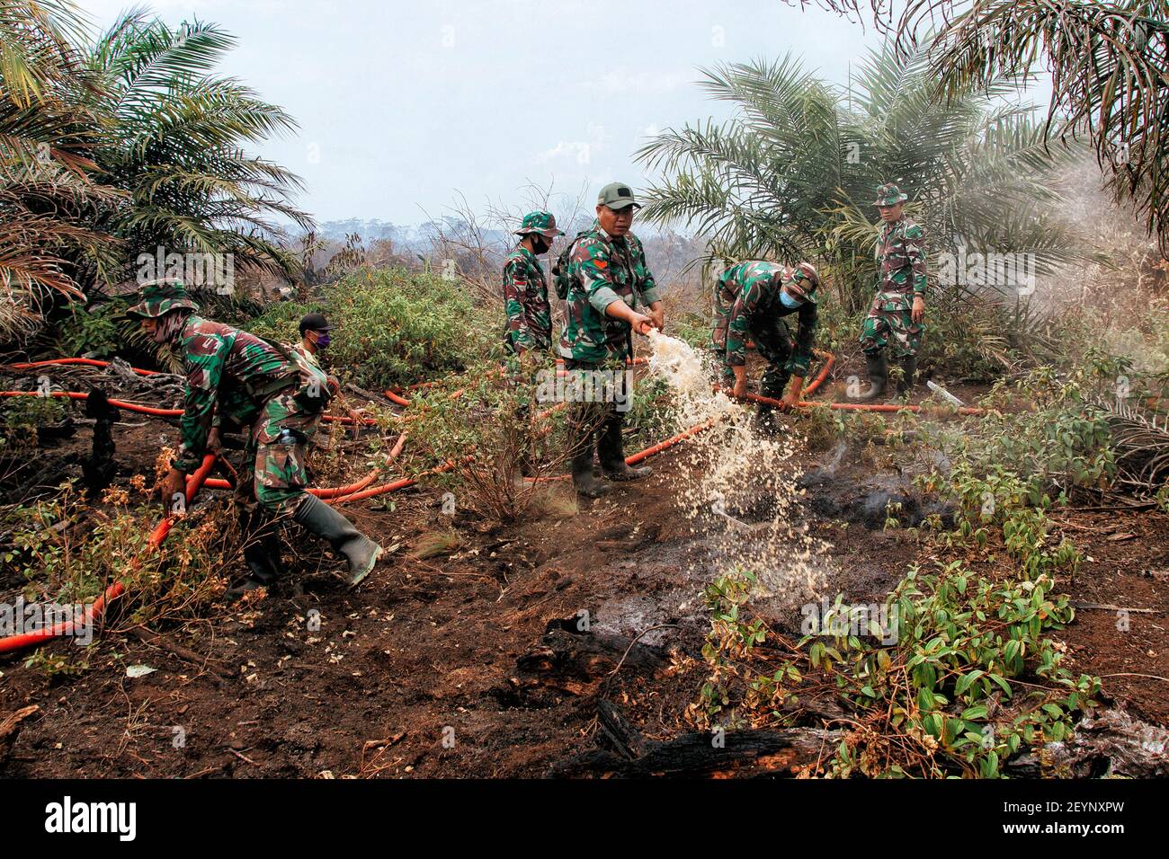 Tni polri hi-res stock photography and images - Alamy