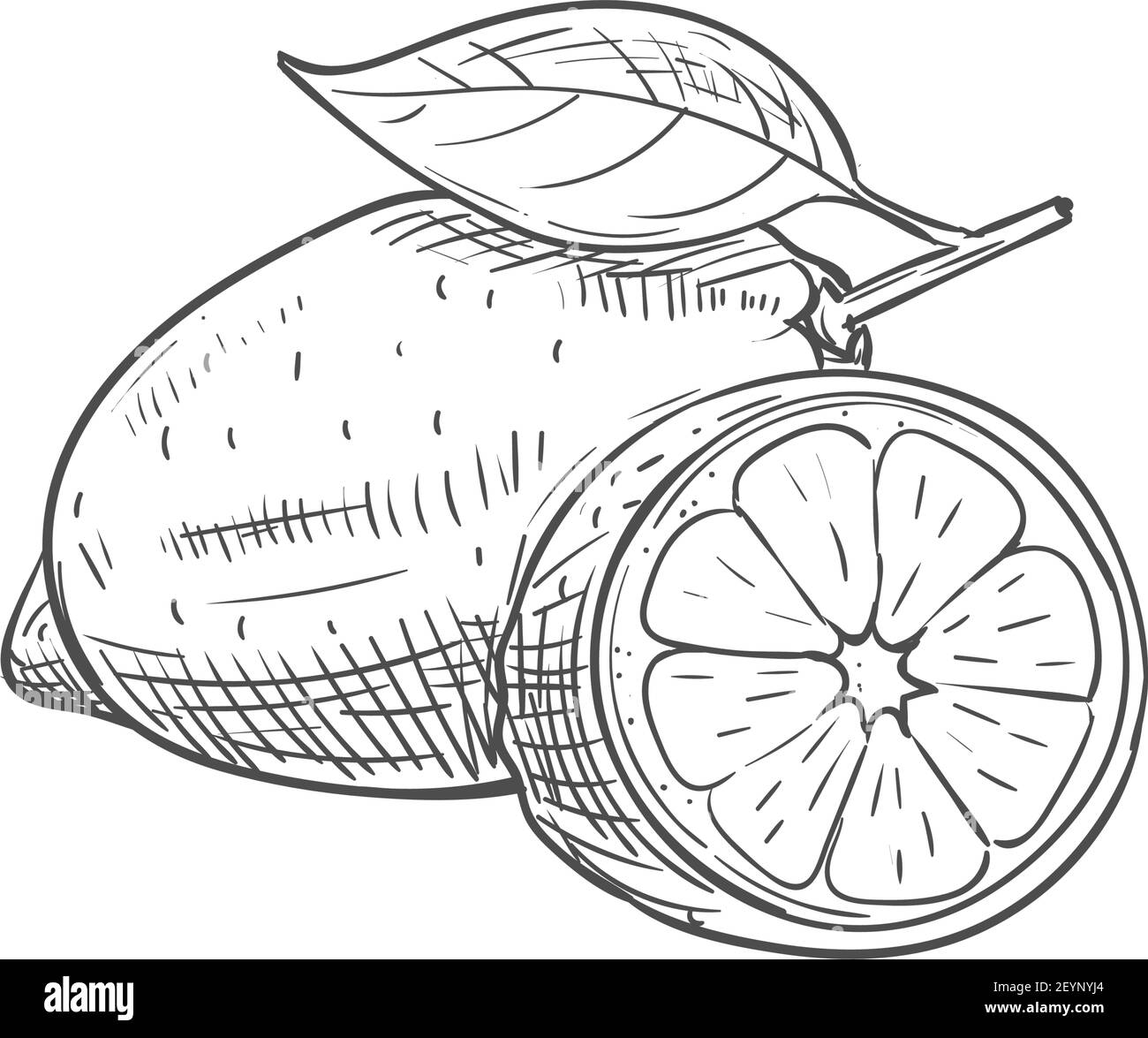 Lemon Line Art