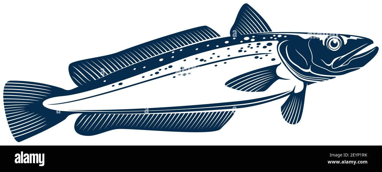 Whole cod fish Stock Vector Images - Alamy