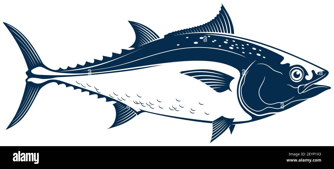 Skipjack vector vectors Cut Out Stock Images & Pictures - Alamy