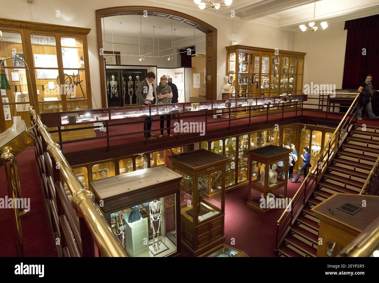 The Mutter Museum of The College of Physicians of Philadelphia ...