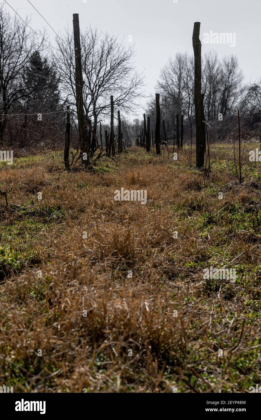 New begning hi-res stock photography and images - Alamy