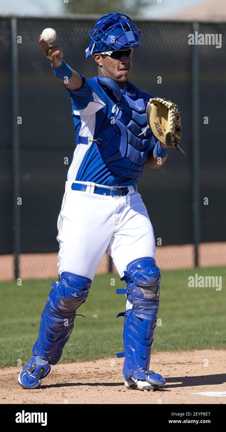 Kansas City Royals catcher Salvador Perez during spring training on ...