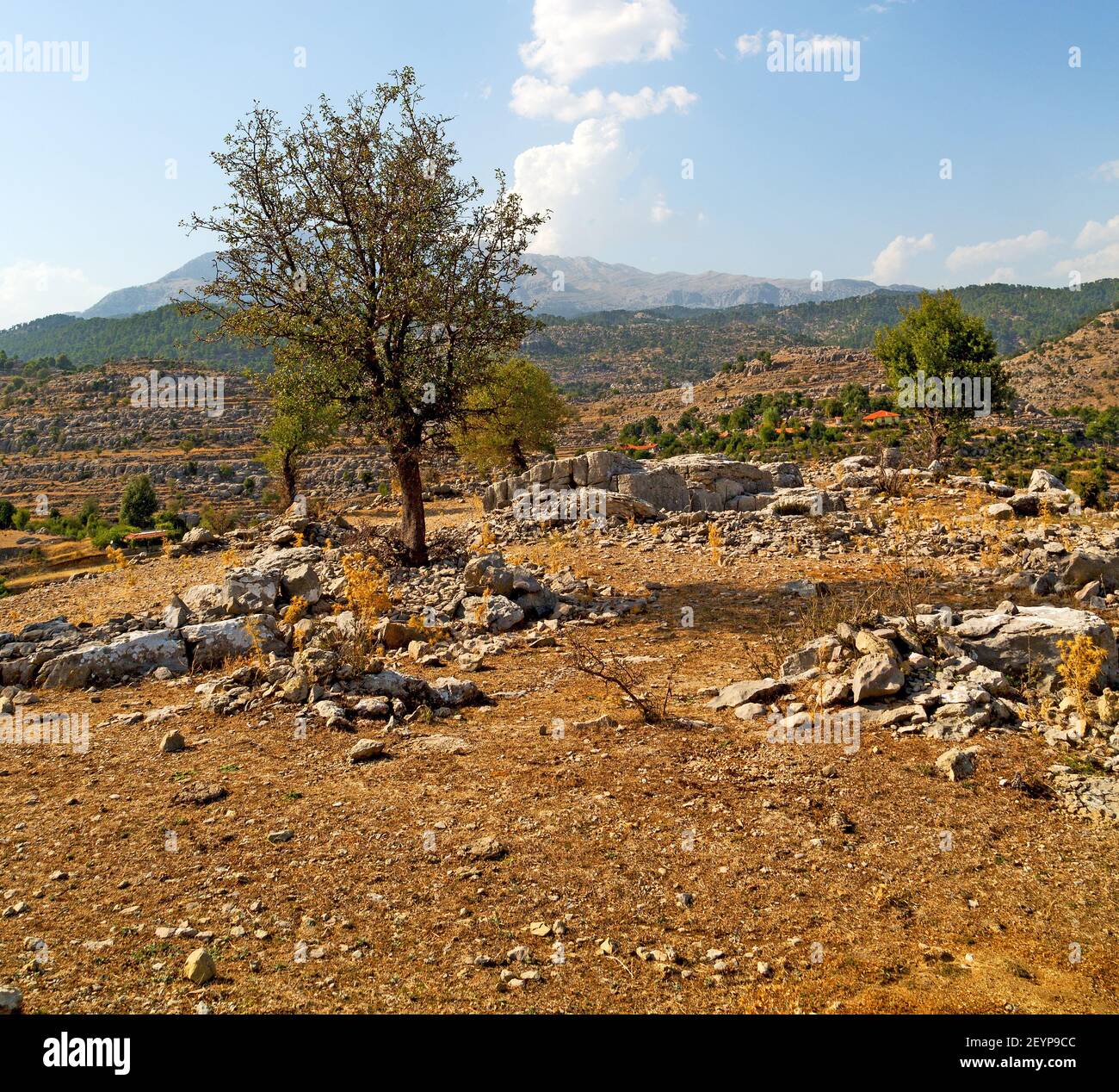 Turkey selge architecture ruins and nature Stock Photo - Alamy