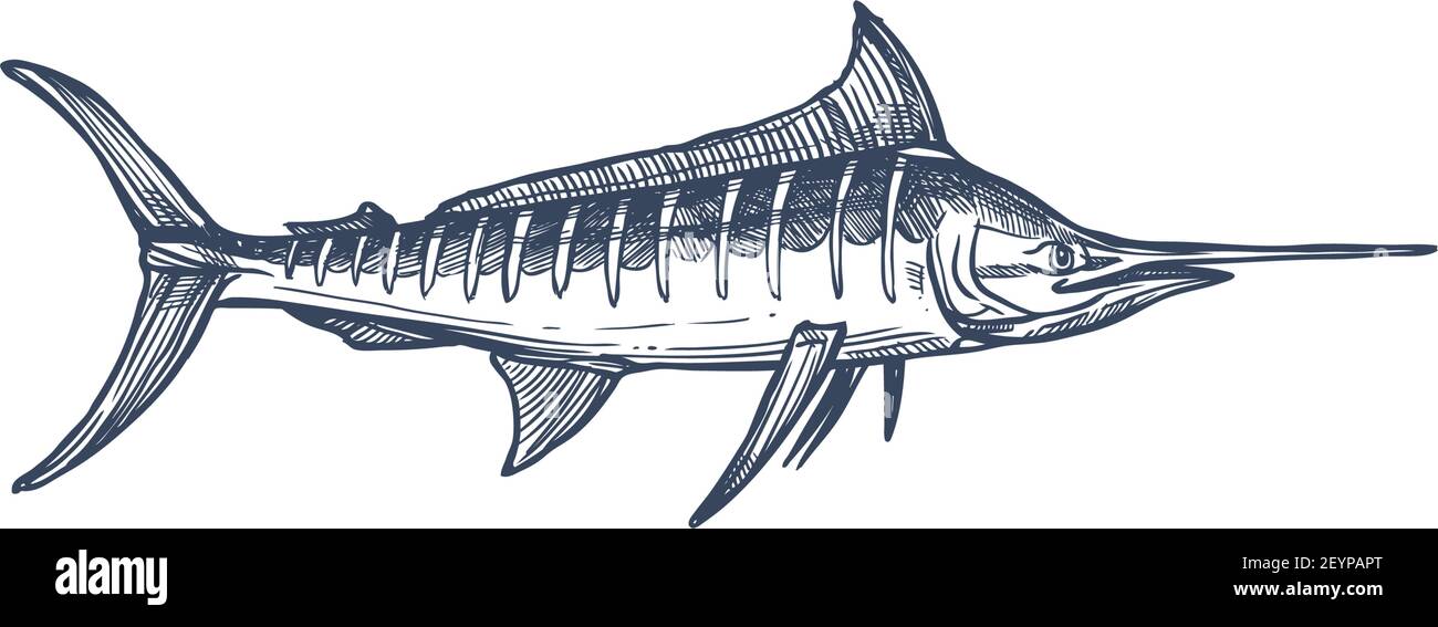 Needlefish Clipart