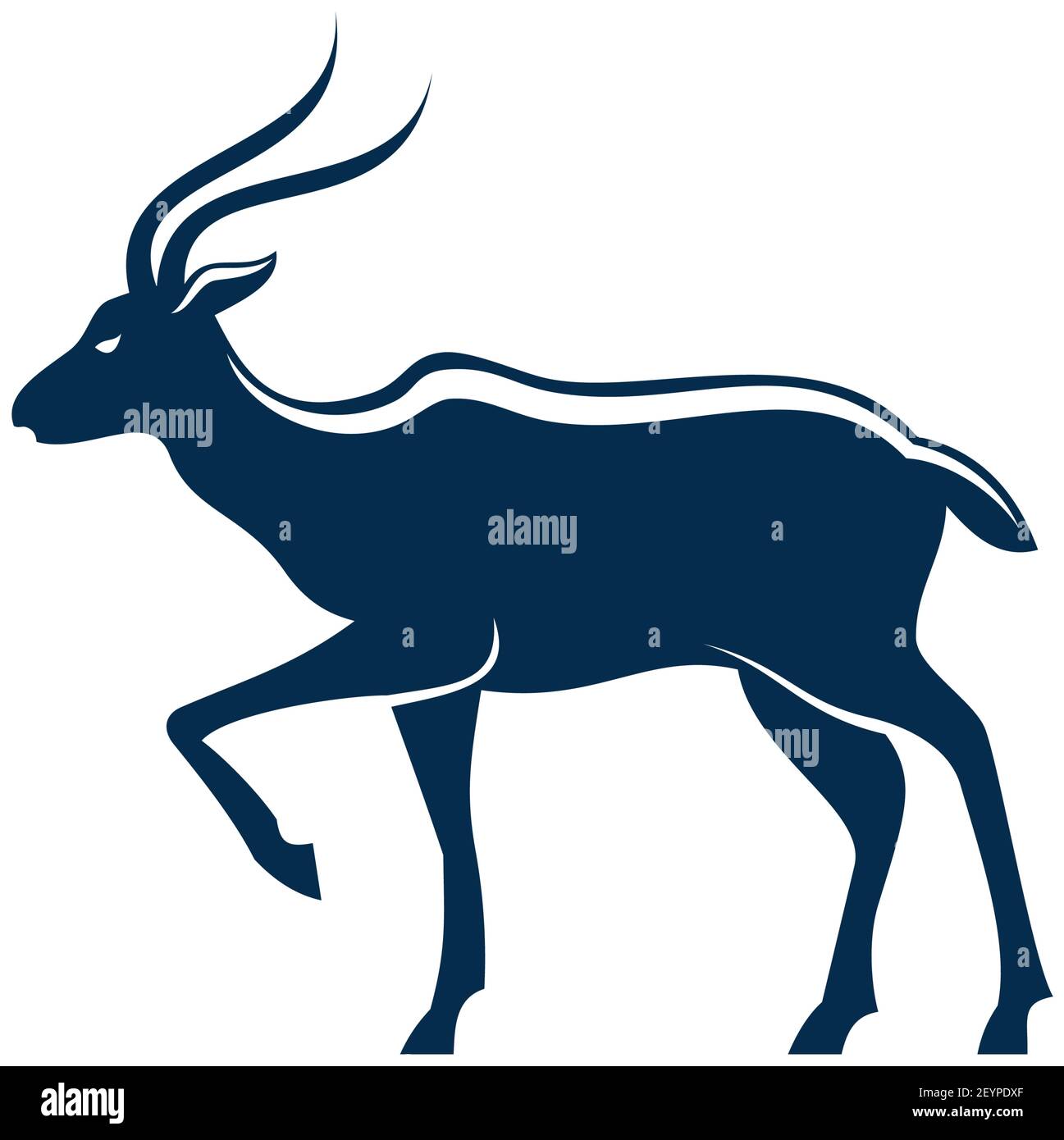 Young springbok Stock Vector Images - Alamy