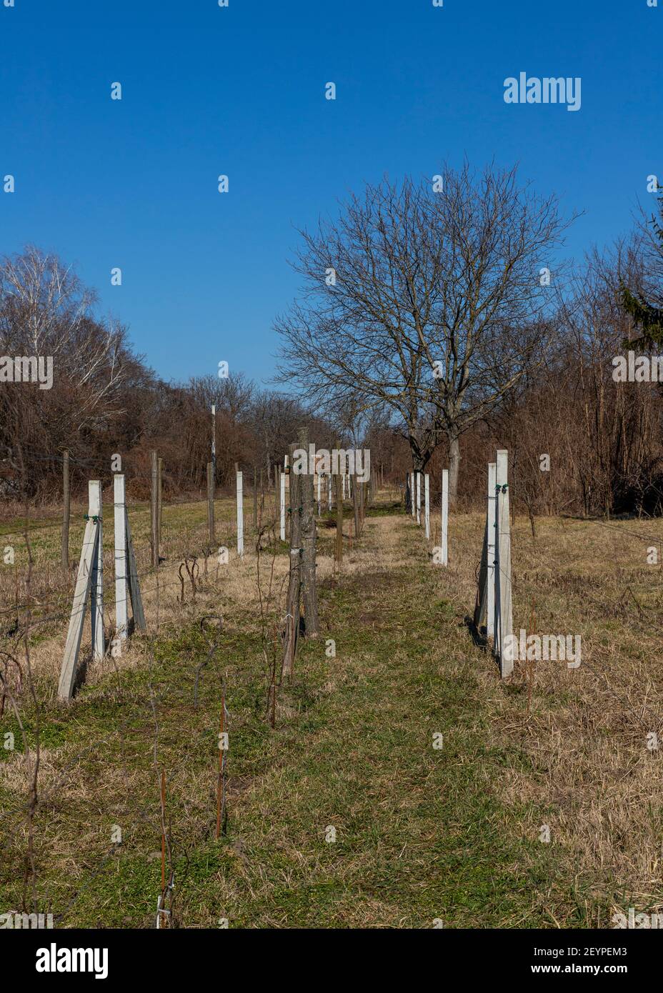 New begning hi-res stock photography and images - Alamy